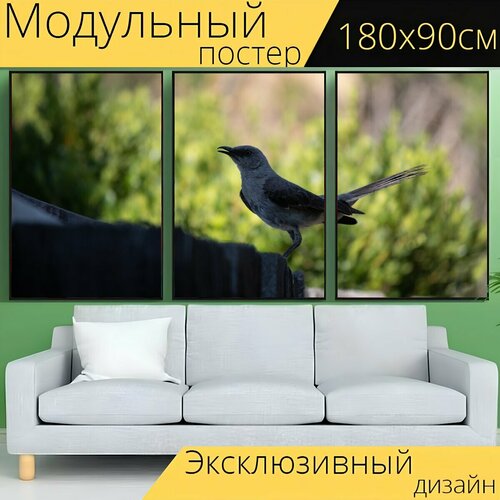 Модульный постер "Птица, клюв, изгородь" 180 x 90 см. для интерьера