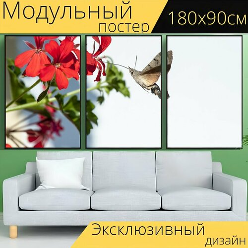 Модульный постер "Колибри ястреб моли, цветок, летом" 180 x 90 см. для интерьера