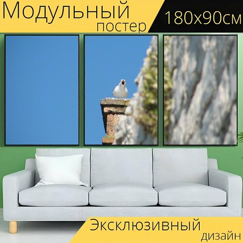 Модульный постер "Трогир, хорватия, чайка" 180 x 90 см. для интерьера