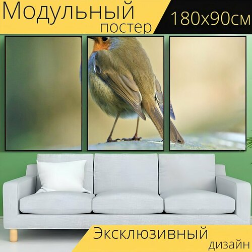 Модульный постер "Зарянка, птица, животное" 180 x 90 см. для интерьера