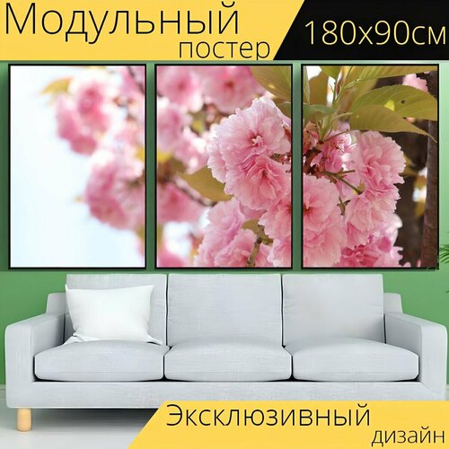 Модульный постер "Весна, весенние цветы, природа" 180 x 90 см. для интерьера