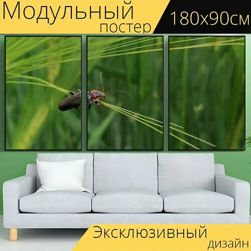 Модульный постер "Кукурузное поле, насекомое, жук" 180 x 90 см. для интерьера