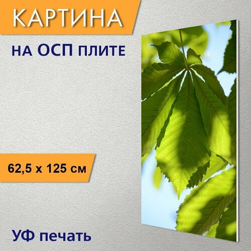Вертикальная картина на ОСП "Листья, зеленый, природа" 62x125 см. для интерьериа