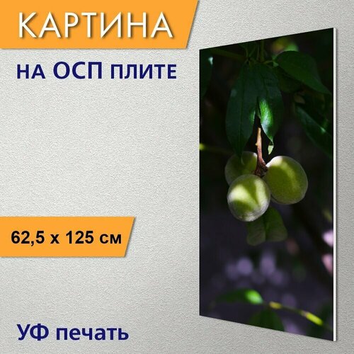 Вертикальная картина на ОСП "Персики, цветущий, растущий" 62x125 см. для интерьериа