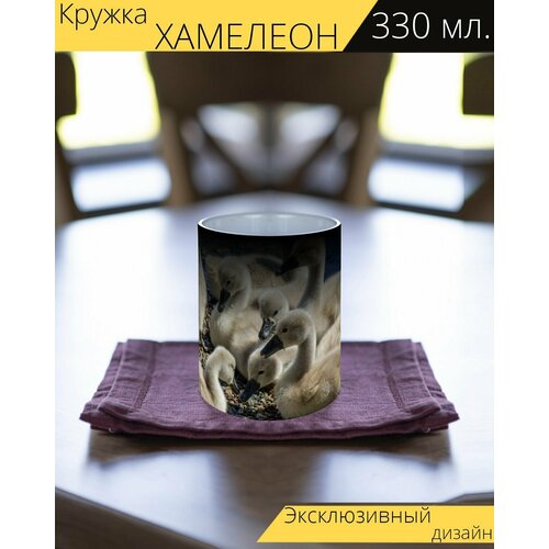 Кружка хамелеон с принтом "Лебедь, мусор, группа" 330 мл.