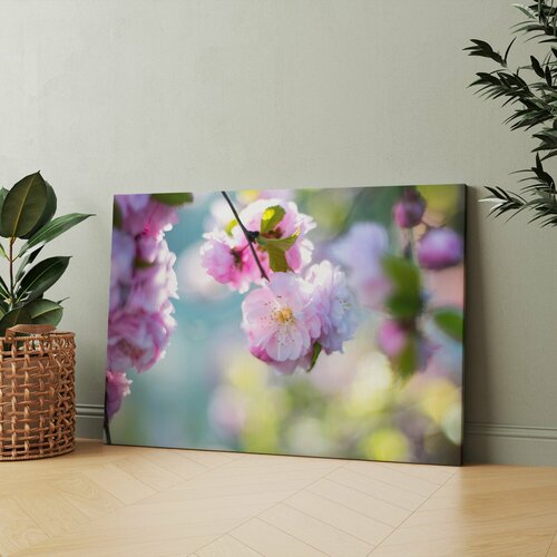 Картина на холсте (цветы сакуры геншин макросъемка) 30x40 см/для интерьера/в комнату/на стену/в подарок