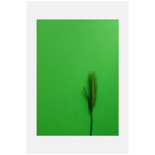 Постер для интерьера Postermarkt, 70х100 см в тубусе, Зелёный #8
