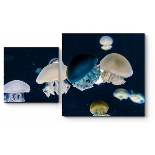 Модульная картина Красивые медузы120x72