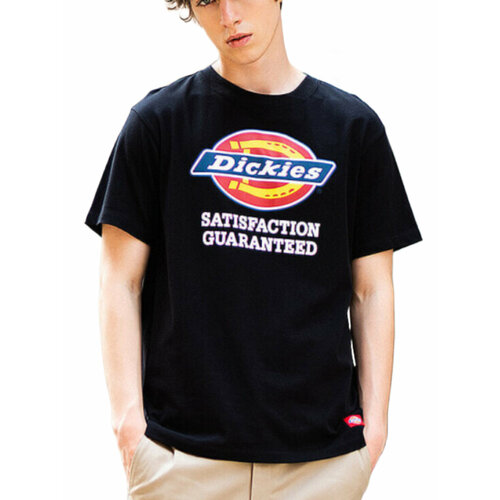 Футболка Dickies, размер M, черный