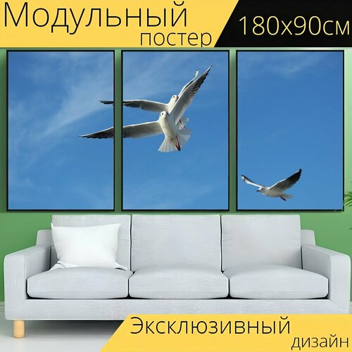 Модульный постер "Чайка, чайки, птица" 180 x 90 см. для интерьера