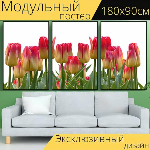 Модульный постер "Тюльпаны, весна, пасхальный" 180 x 90 см. для интерьера