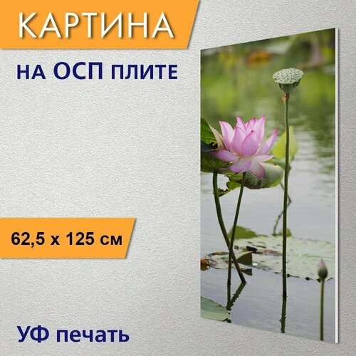 Вертикальная картина на ОСП "Цветок, лотос, лепестки" 62x125 см. для интерьериа