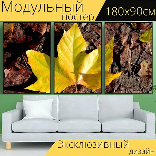 Модульный постер "Осенние листья, осенние краски, свет осени" 180 x 90 см. для интерьера