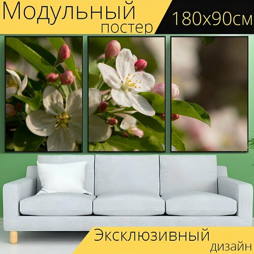 Модульный постер "Весна, дерево, цветок" 180 x 90 см. для интерьера