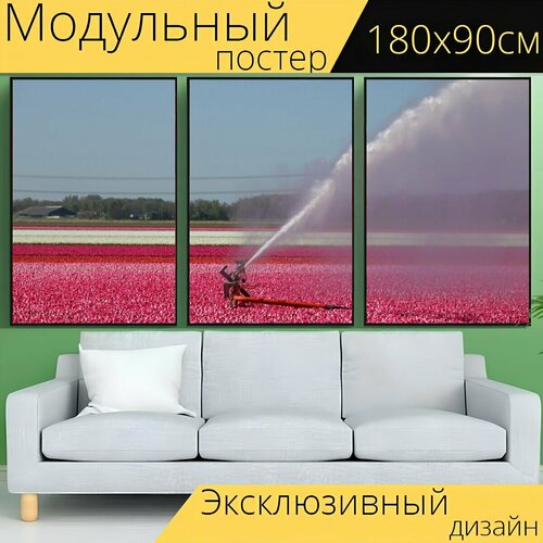Модульный постер "Тюльпаны, розовый, поле тюльпанов" 180 x 90 см. для интерьера