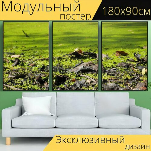 Модульный постер "Природа, пруд, зеленый" 180 x 90 см. для интерьера