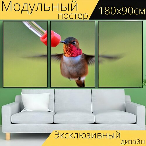 Модульный постер "Мужчина, рыжий, колибри" 180 x 90 см. для интерьера