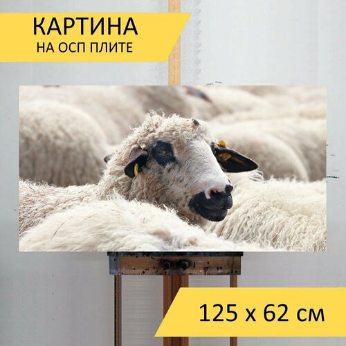 Картина на ОСП 125х62 см. "Овец, стадо овец, животные" горизонтальная, для интерьера, с креплениями