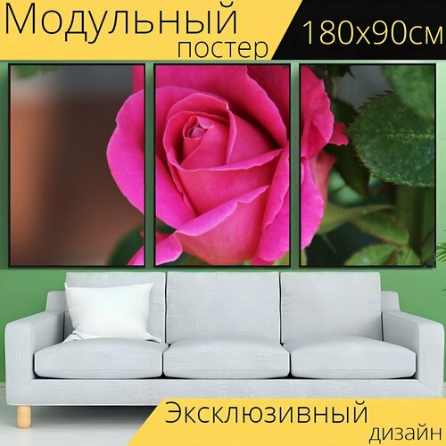 Модульный постер "Розовый, роуз, романтичный" 180 x 90 см. для интерьера