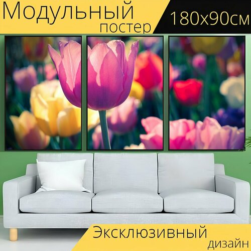 Модульный постер "Тюльпан, цвести, весна" 180 x 90 см. для интерьера