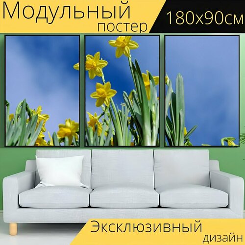 Модульный постер "Нарциссы, цветок, цвести" 180 x 90 см. для интерьера