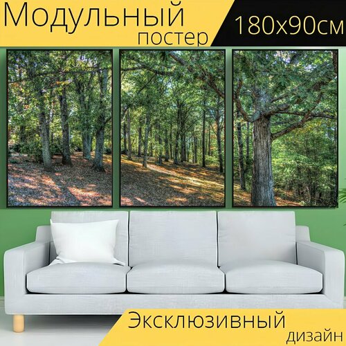 Модульный постер "Лес, деревья, солнечный свет" 180 x 90 см. для интерьера