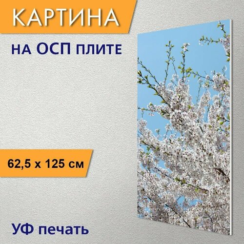 Вертикальная картина на ОСП "Вишни в цвету, цветок, небо" 62x125 см. для интерьериа