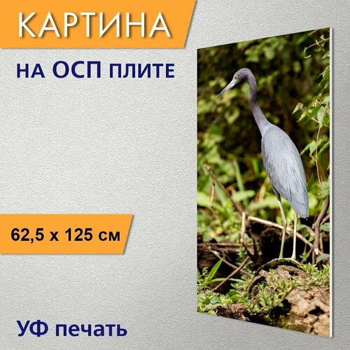 Вертикальная картина на ОСП "Флорида, дикая природа, природа" 62x125 см. для интерьериа