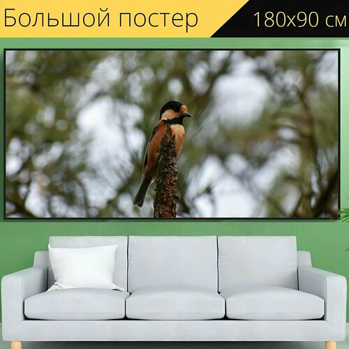 Большой постер "Животное, лес, птица" 180 x 90 см. для интерьера
