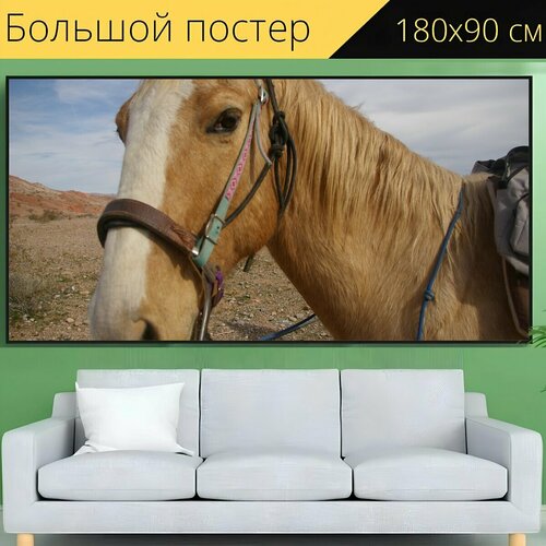 Большой постер "Лошадь, глаза, животное" 180 x 90 см. для интерьера
