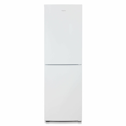 Холодильник Бирюса W 6031