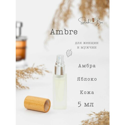 Ambre духи стойкие