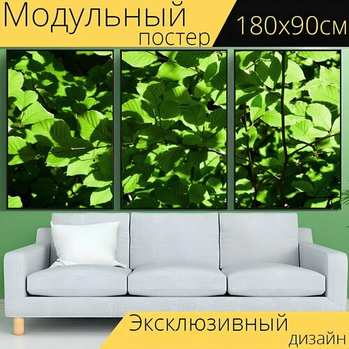 Модульный постер "Листья, лес, солнечный свет" 180 x 90 см. для интерьера