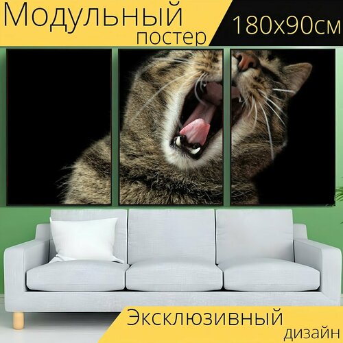 Модульный постер "Кошка, млекопитающее, животное" 180 x 90 см. для интерьера