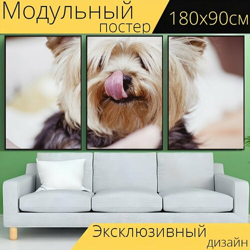 Модульный постер "Милый, щенок, домашний питомец" 180 x 90 см. для интерьера