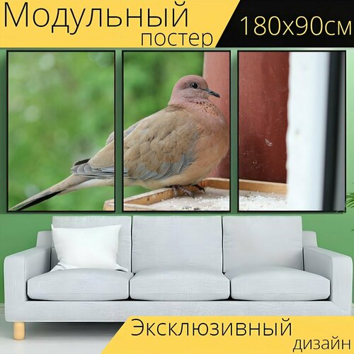 Модульный постер "Птица, горлышка, голуби" 180 x 90 см. для интерьера