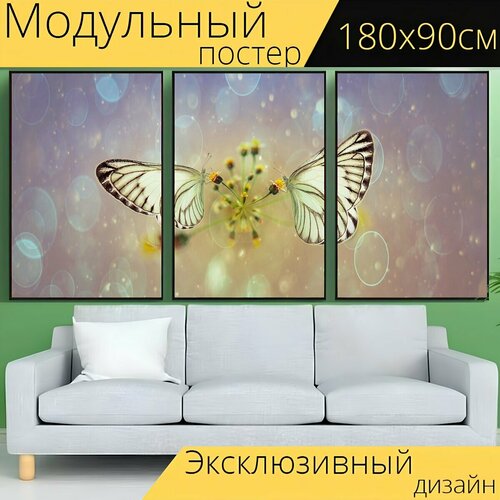 Модульный постер "Бабочки, насекомые, цветок" 180 x 90 см. для интерьера