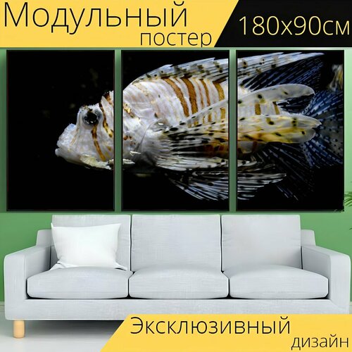 Модульный постер "Рыбы, вода, подводный" 180 x 90 см. для интерьера