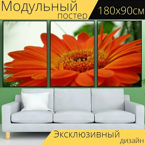 Модульный постер "Апельсин, гербера, цветок" 180 x 90 см. для интерьера