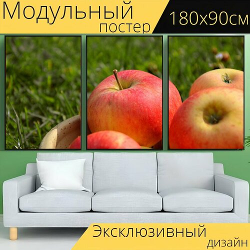 Модульный постер "Яблоки, фрукты, семечковые фрукты" 180 x 90 см. для интерьера