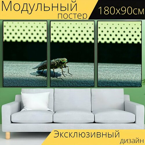 Модульный постер "Животное, насекомое, закрывать" 180 x 90 см. для интерьера