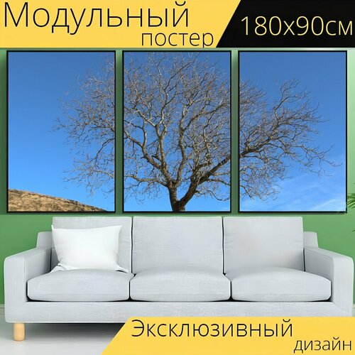 Модульный постер "Дерево, ветви, безлистный" 180 x 90 см. для интерьера
