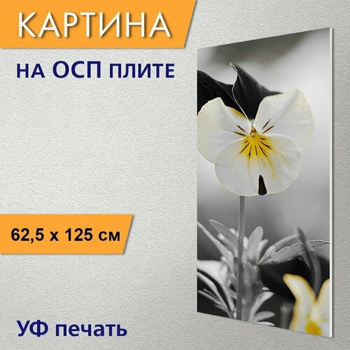 Вертикальная картина на ОСП "Анютины глазки, цветок, завод" 62x125 см. для интерьериа