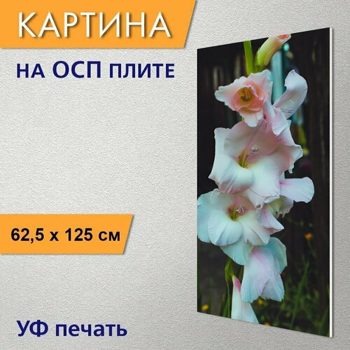 Вертикальная картина на ОСП "Цветы, лето, природа" 62x125 см. для интерьериа