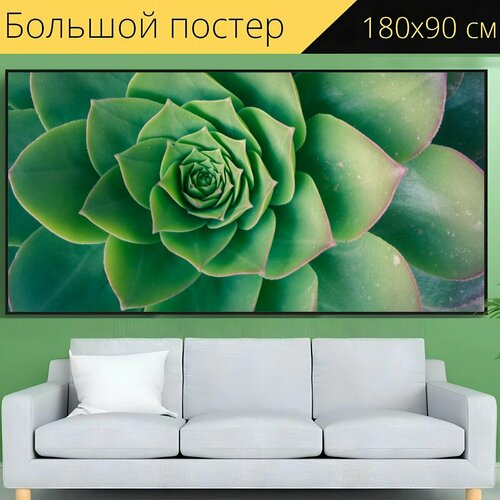 Большой постер "Зеленый, растения, природа" 180 x 90 см. для интерьера