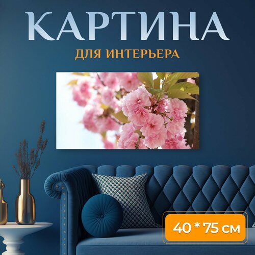 Картина на холсте "Весна, весенние цветы, природа" на подрамнике 75х40 см. для интерьера