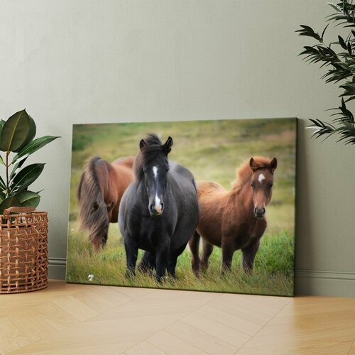 Картина на холсте (Лошадь с жеребенком на пастбище) 60x80 см. Интерьерная, на стену.