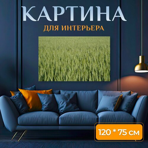 Картина на холсте "Пшеница, поле, зеленый" на подрамнике 120х75 см. для интерьера