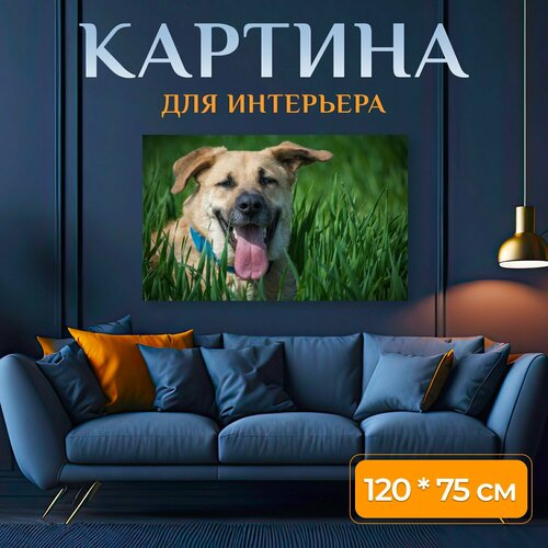 Картина на холсте "Собака, луг, портрет собаки" на подрамнике 120х75 см. для интерьера