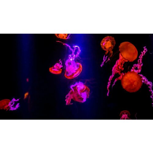 Картина на холсте 60x110 LinxOne "Пурпур свет Медуза" интерьерная для дома / на стену / на кухню / с подрамником